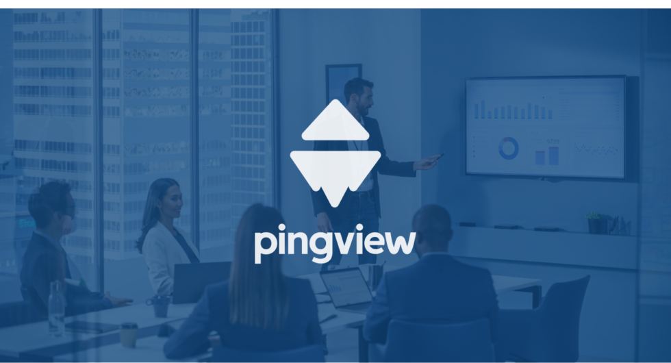 Digital visual management : Take stock of your project - Pingview