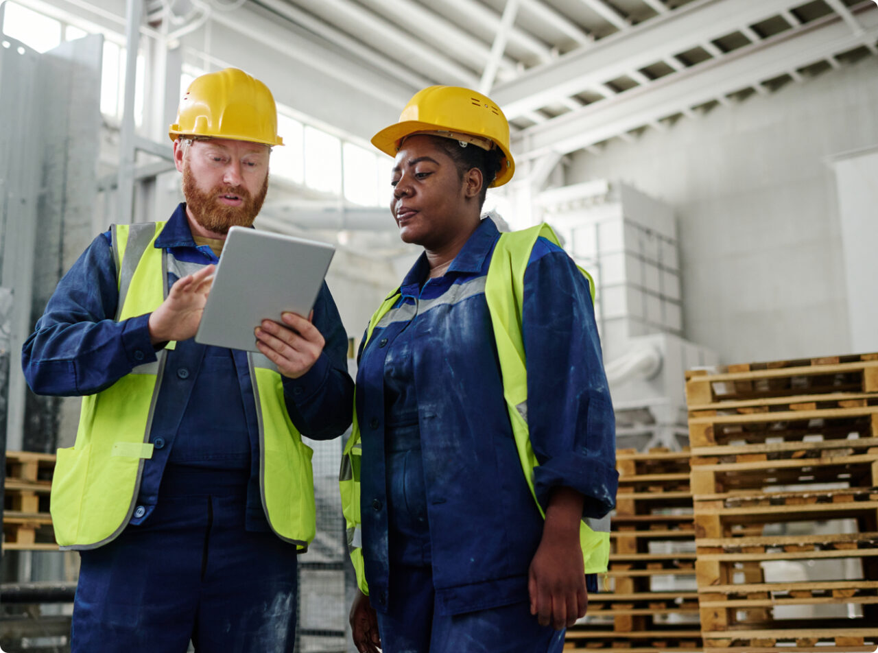 Daily visual system (EN) - Pingview