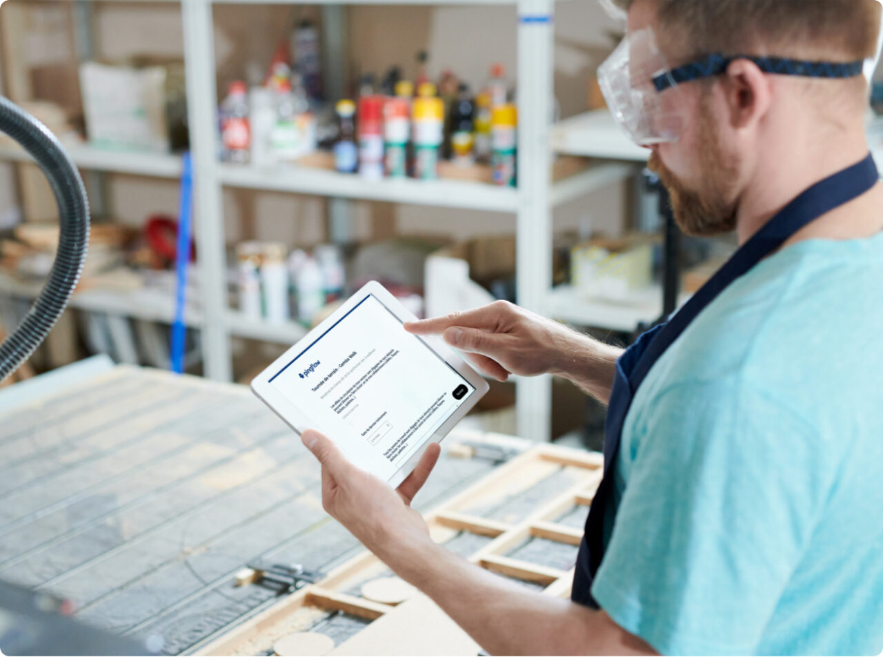 Daily visual system (EN) - Pingview