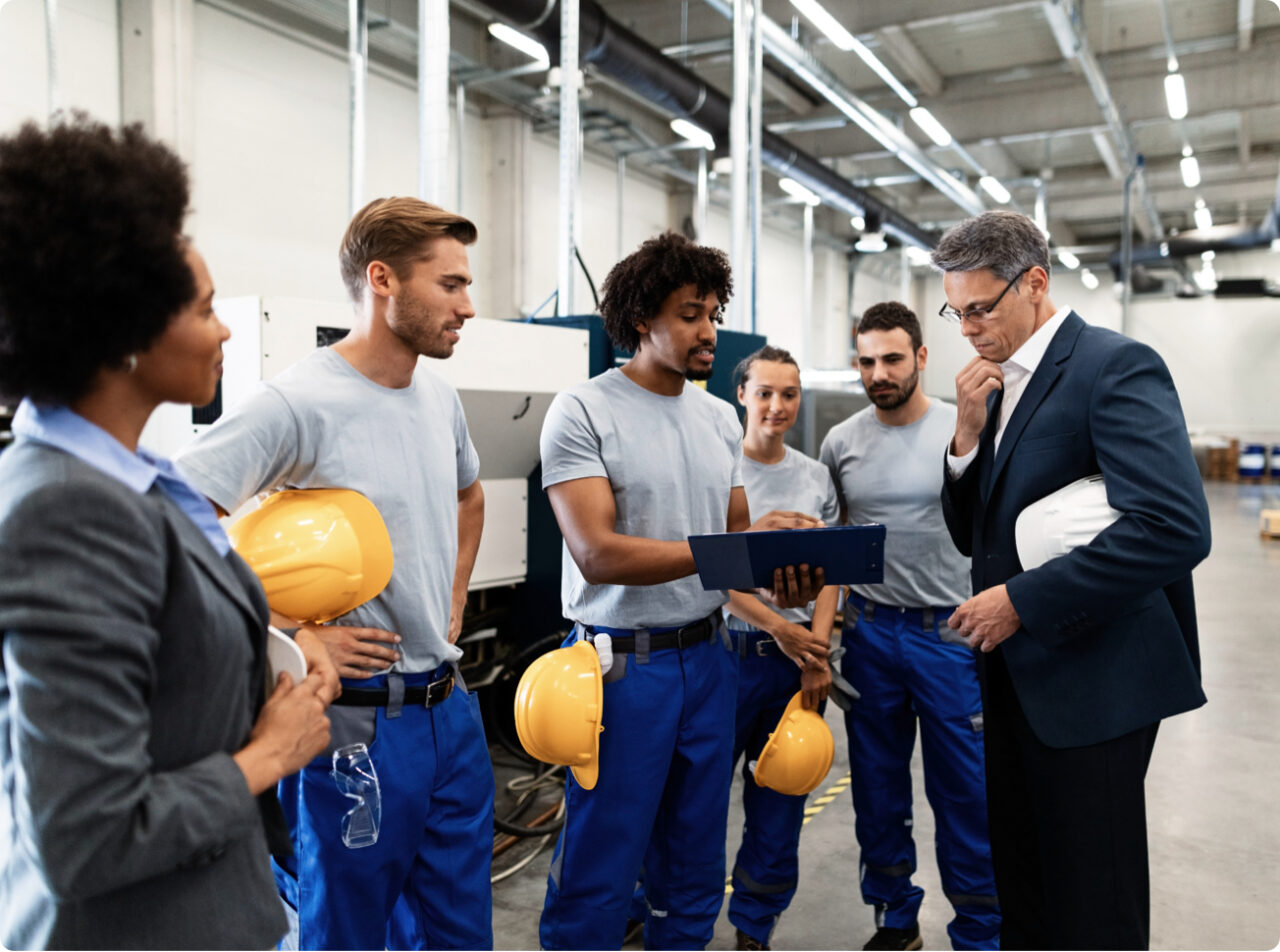 Daily visual system (EN) - Pingview